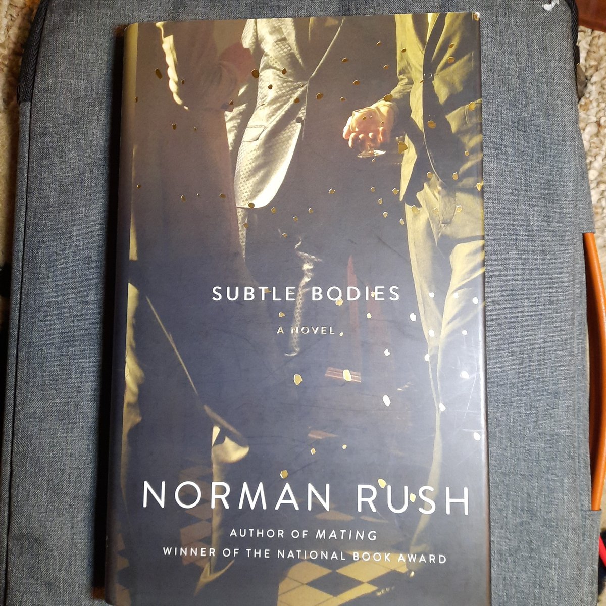 Subtle Bodies by Norman Rush