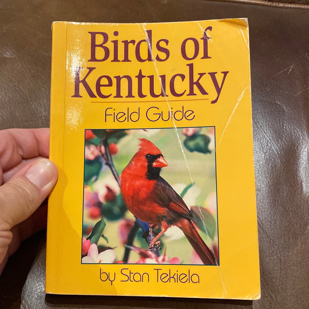 Birds of Kentucky Field Guide by Stan Tekiela
