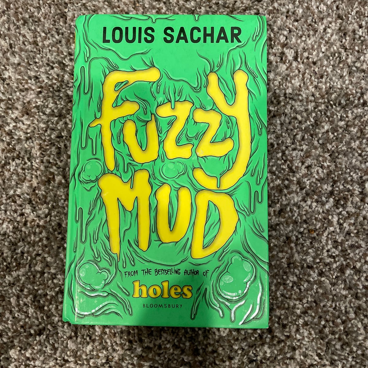 Fuzzy Mud by Louis Sachar