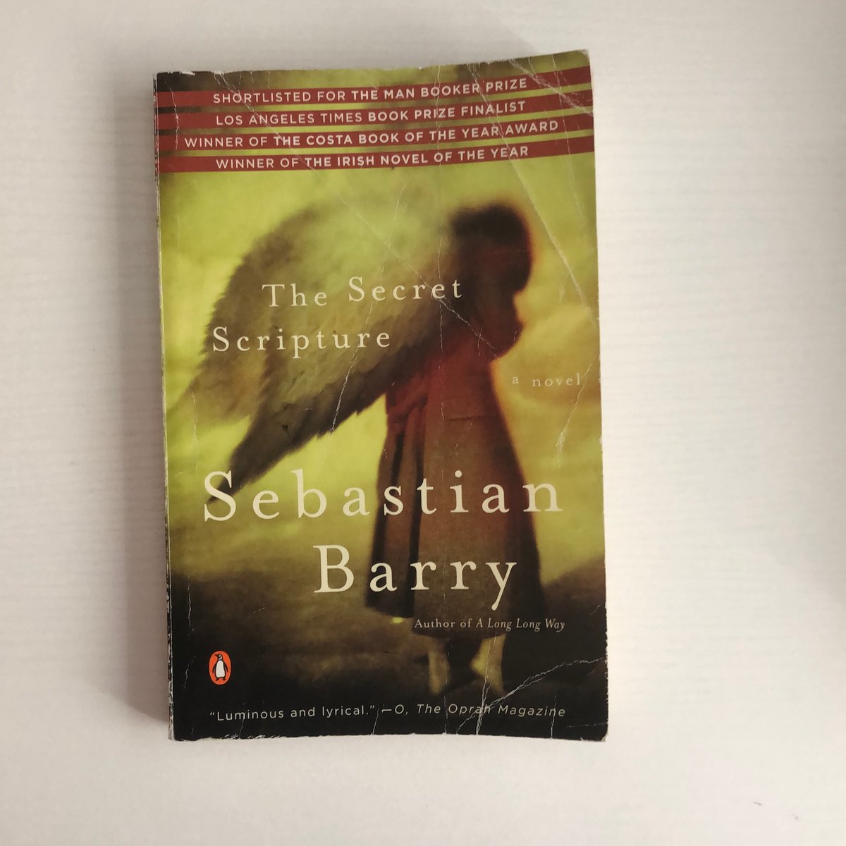 The Secret Scripture by Sebastian Barry