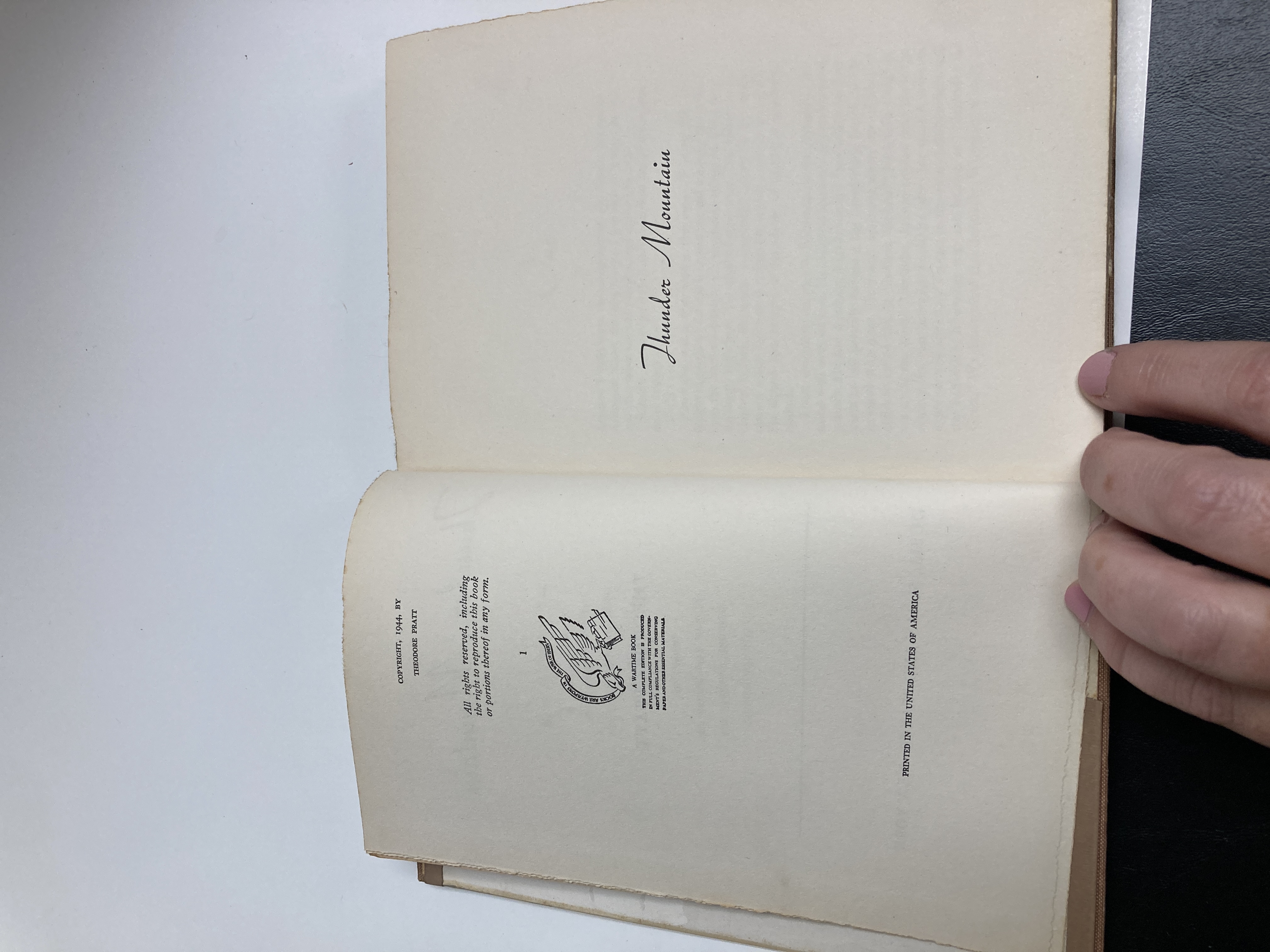 Thunder Mountain by Theodore Pratt, Hardcover | PangoBooks