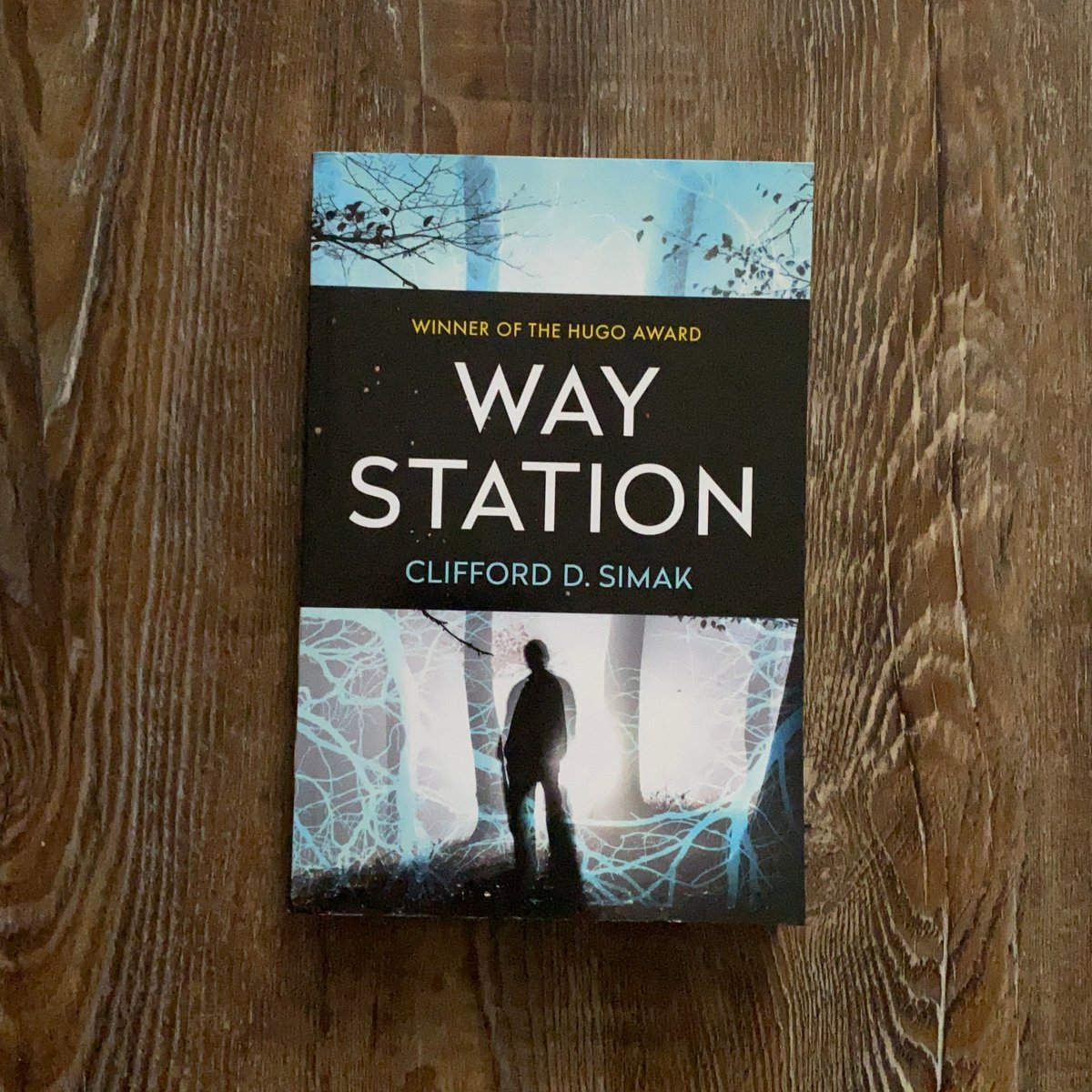 Way Station by Clifford D. Simak