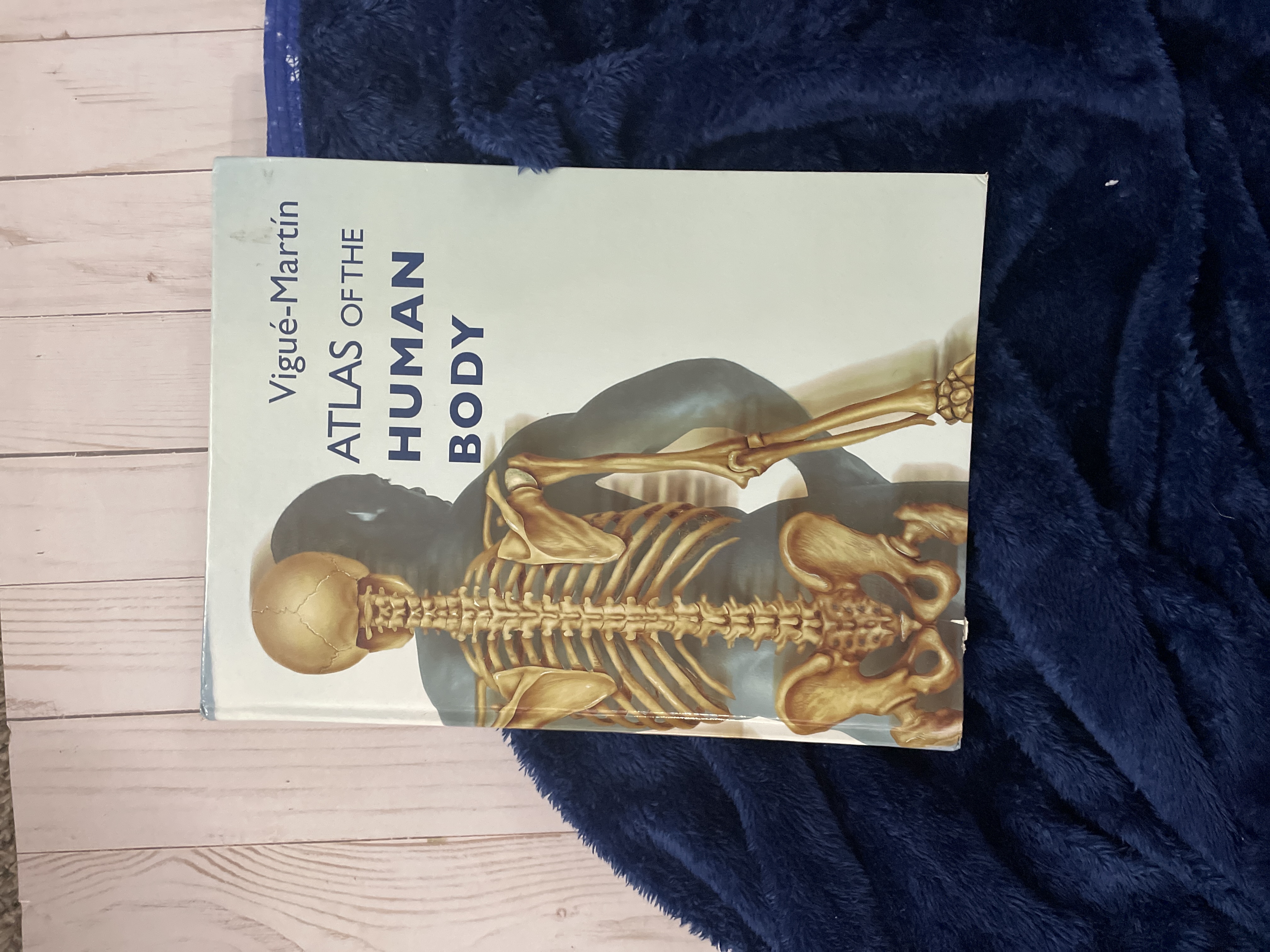 Atlas of the Human Body by Vigue Martin
