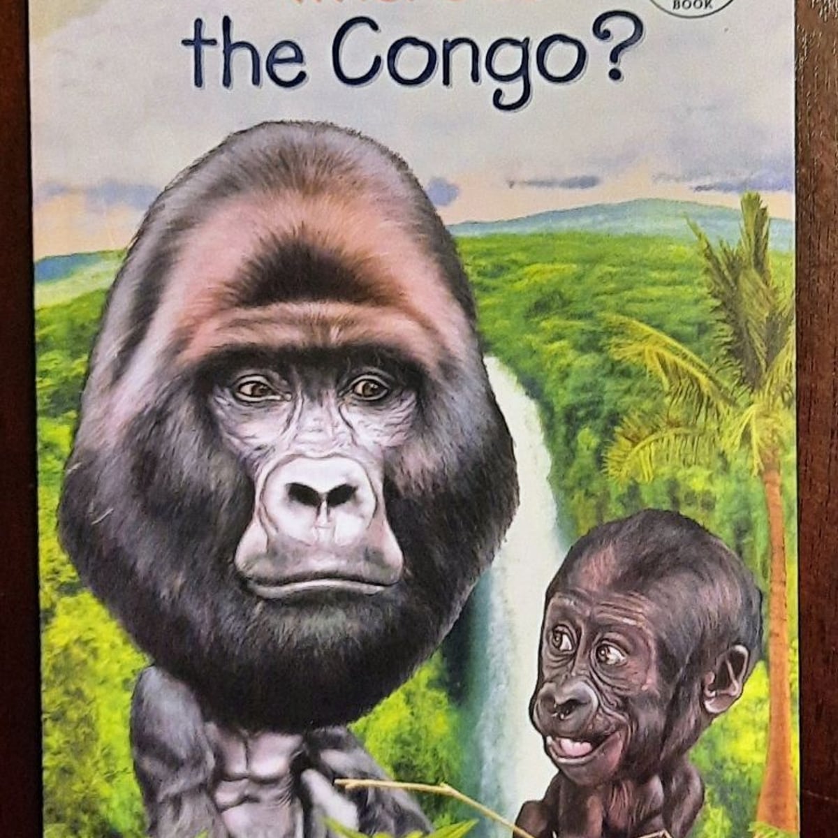 Where Is the Congo? by Megan Stine