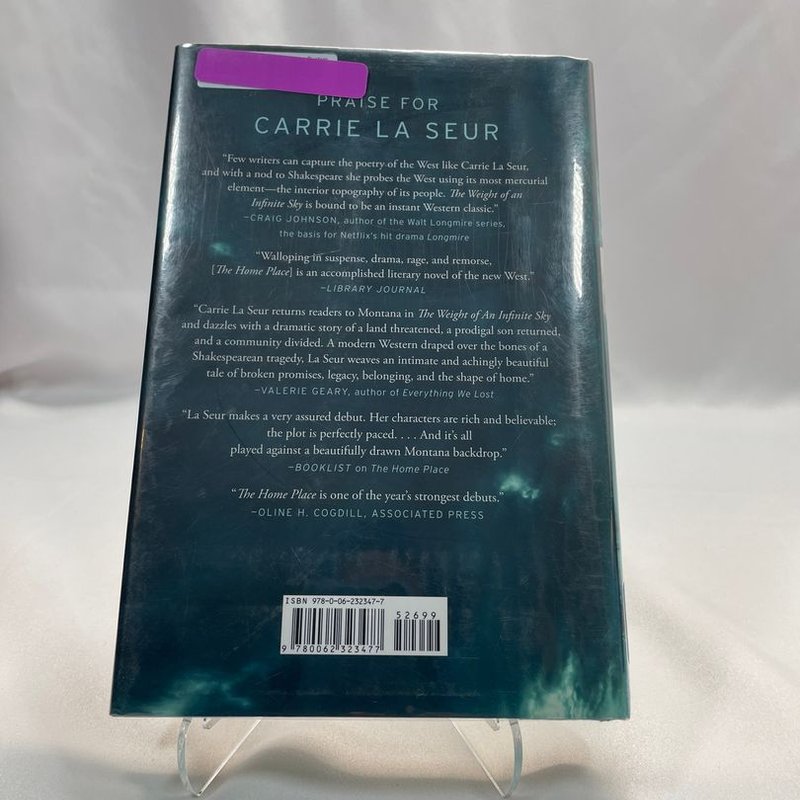 The Weight of an Infinite Sky by Carrie La Seur