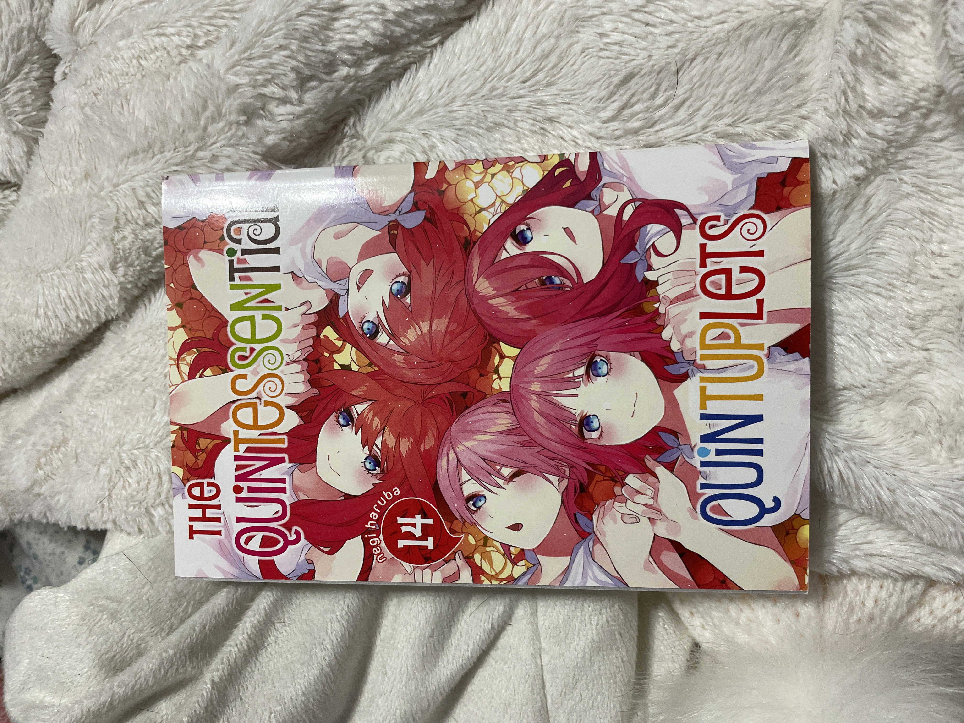 The Quintessential Quintuplets 14 by Negi Haruba