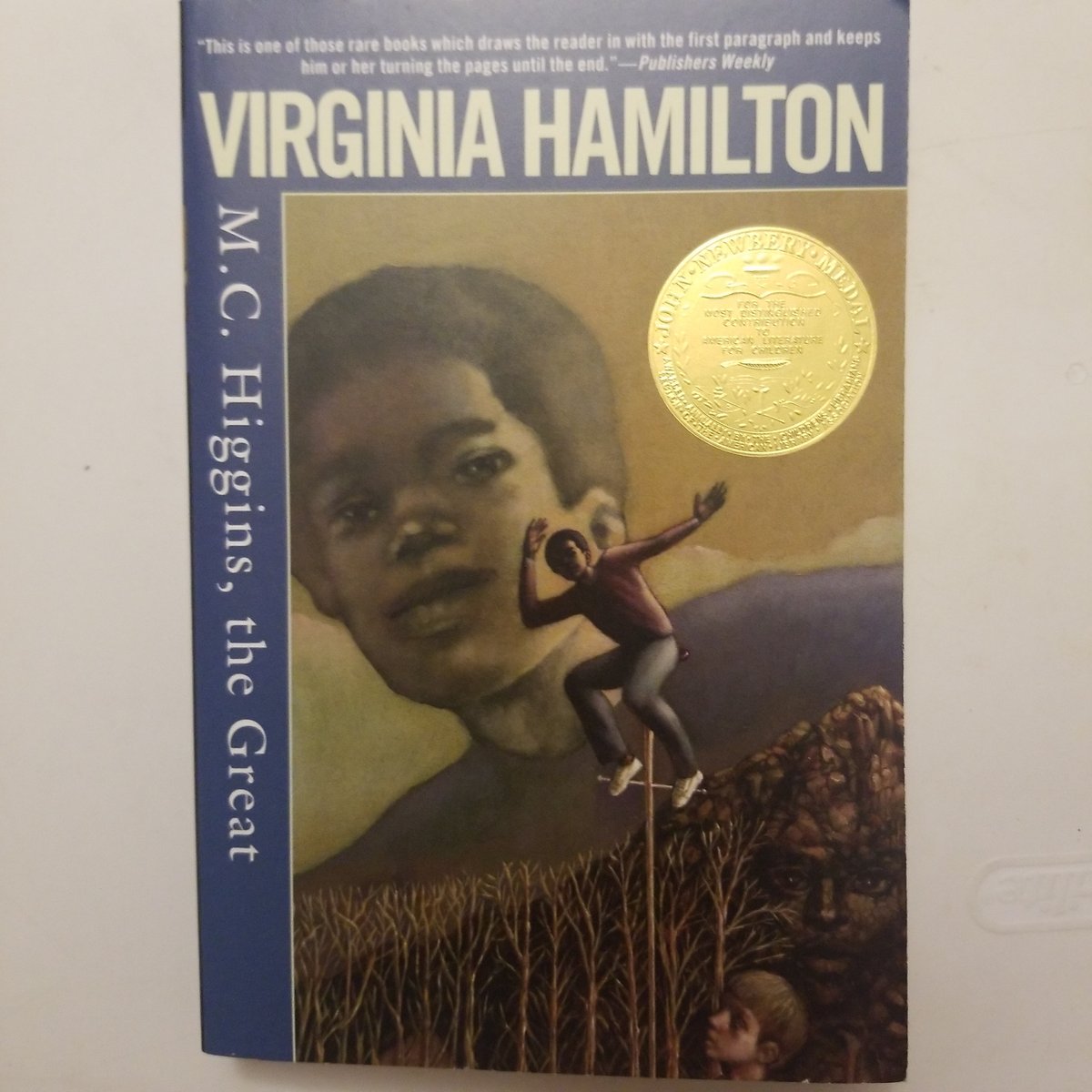 M. C. Higgins, the Great by Virginia Hamilton