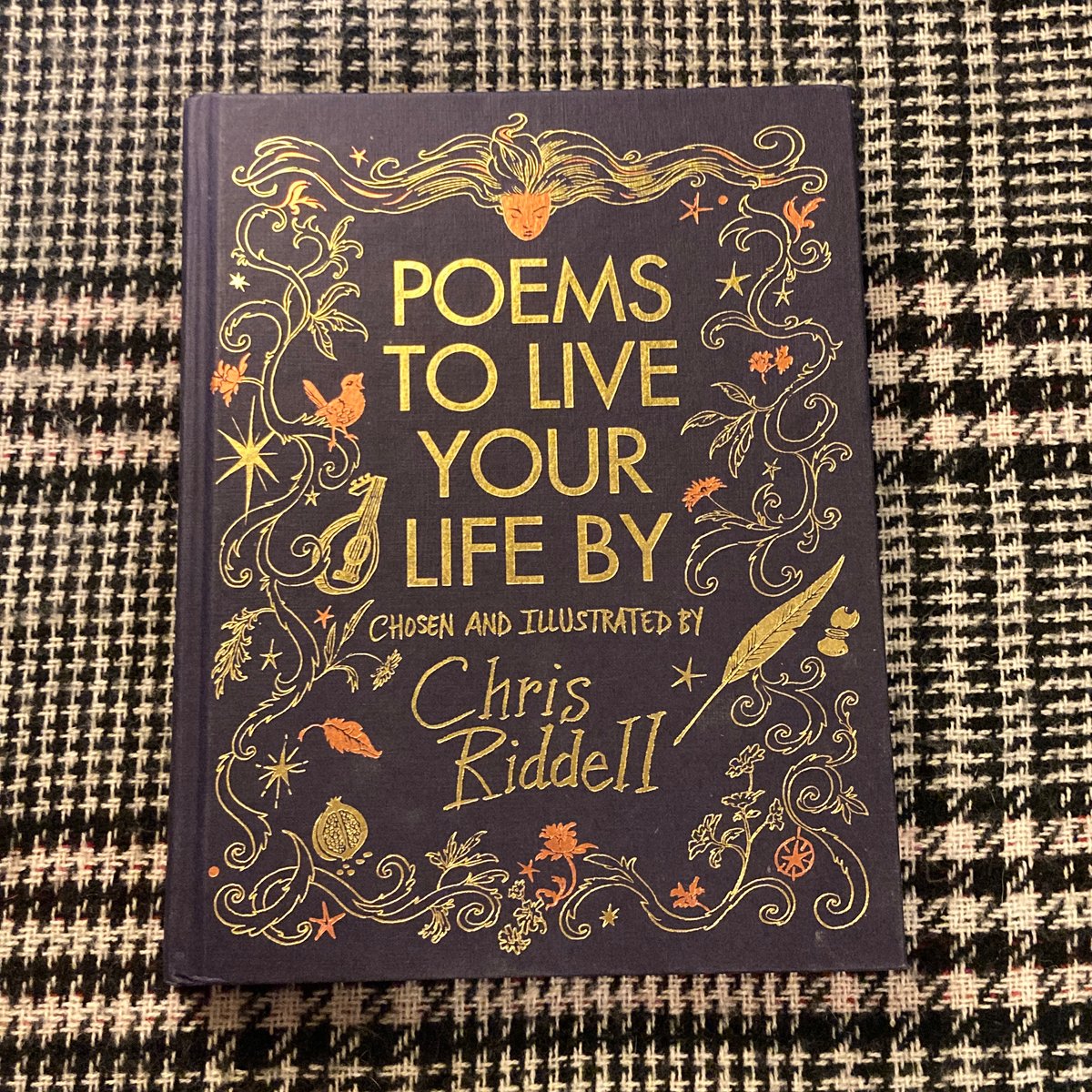 Poems to Live Your Life By by Chris Riddell