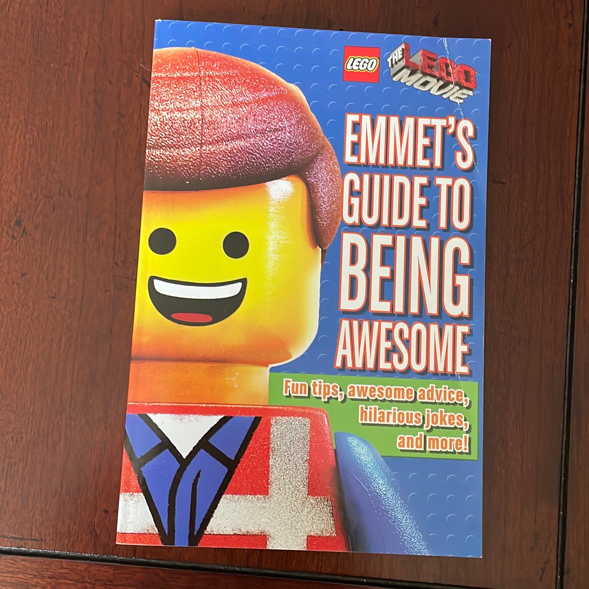 Emmet's Guide to Being Awesome by Ace Landers