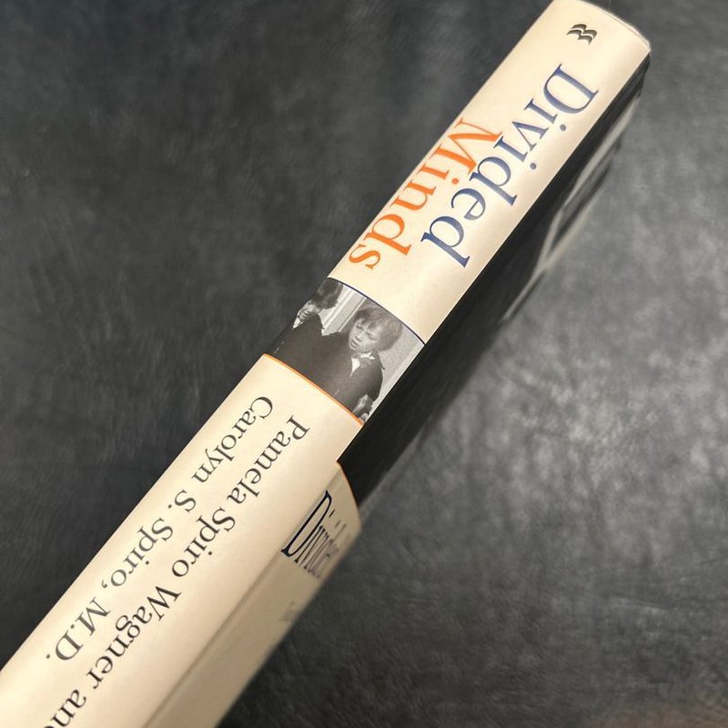 Divided Minds by Carolyn S. Spiro; Pamela Spiro Wagner, Hardcover ...