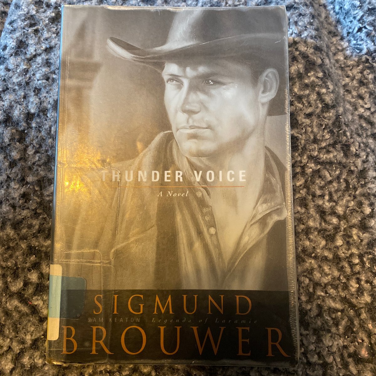 Thunder Voice by Sigmund Brouwer