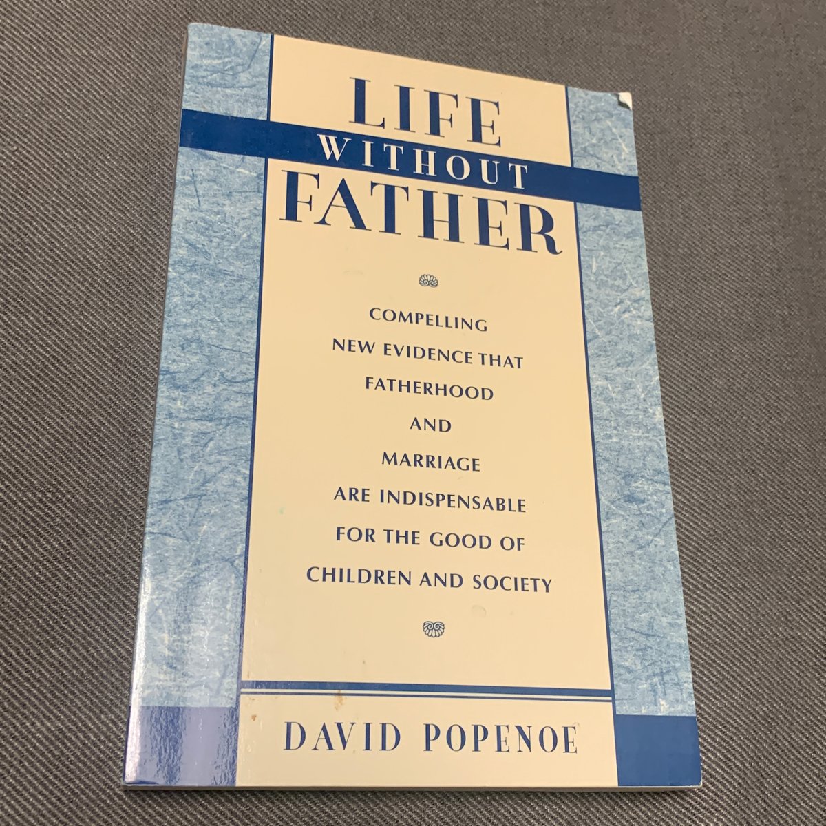 Life Without Father by David Popenoe