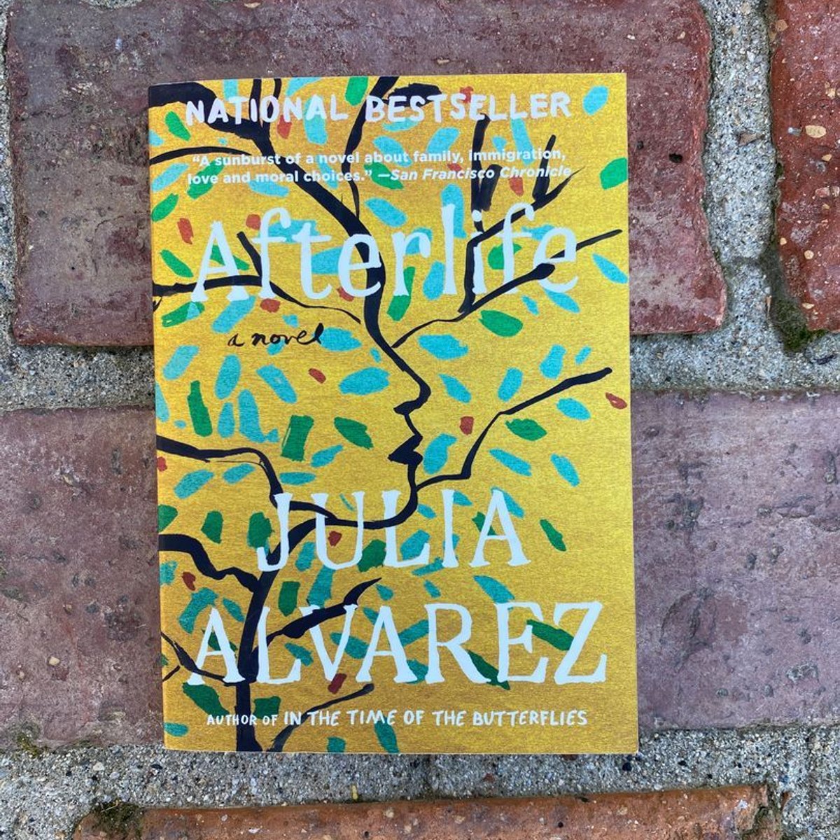 Afterlife by Julia Alvarez