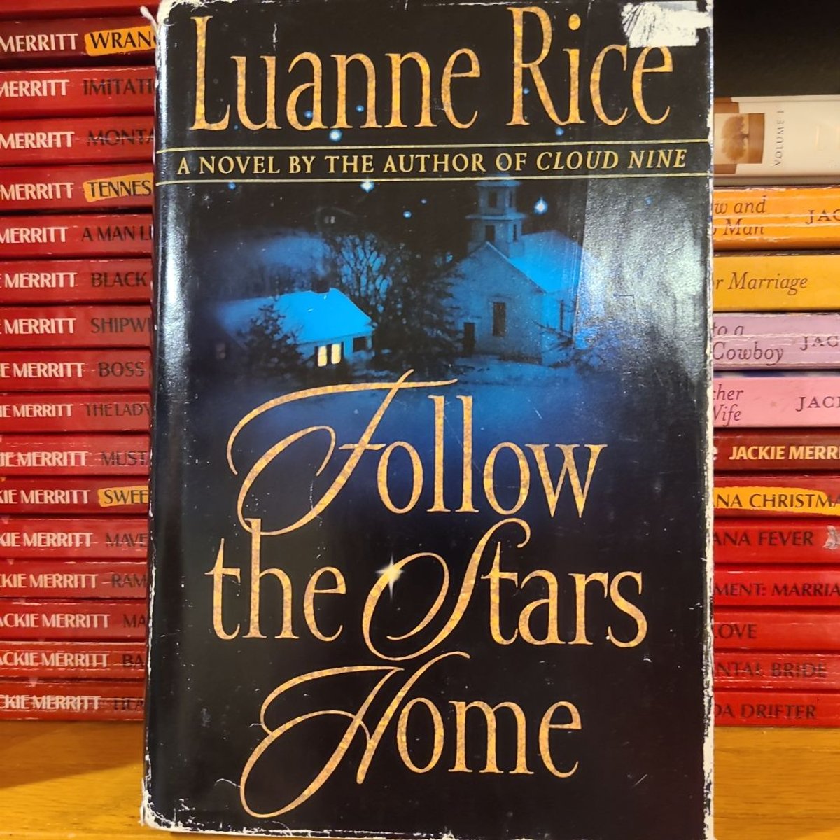 Follow the Stars Home by Luanne Rice