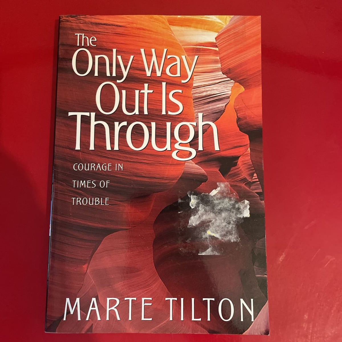 The Only Way Out Is Through by Marte Tilton