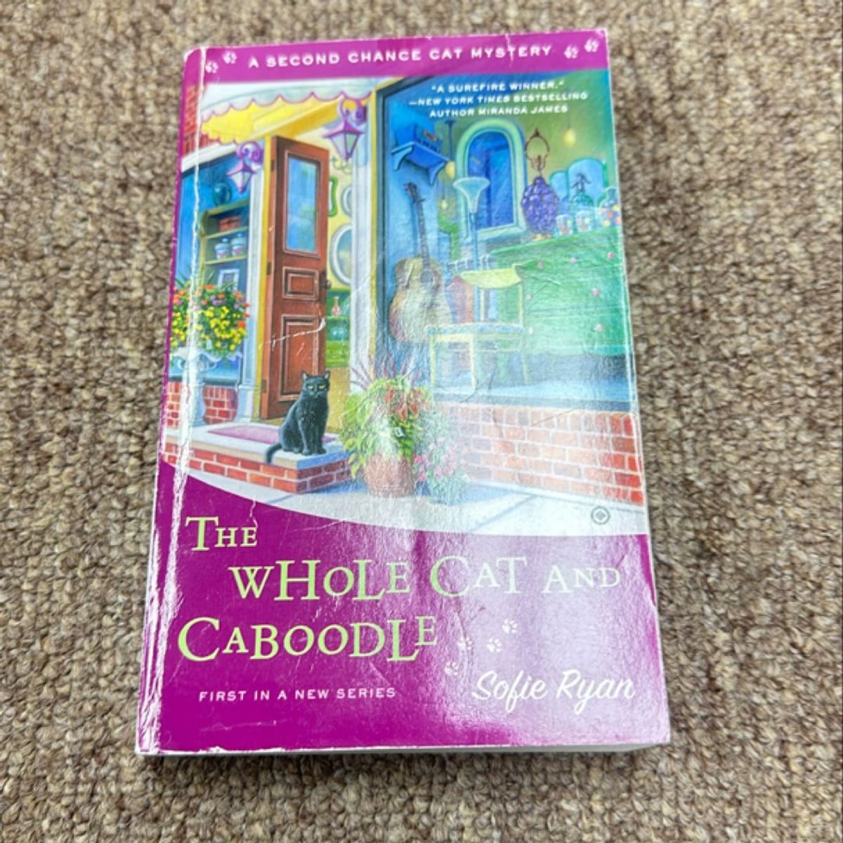 The Whole Cat and Caboodle by Sofie Ryan