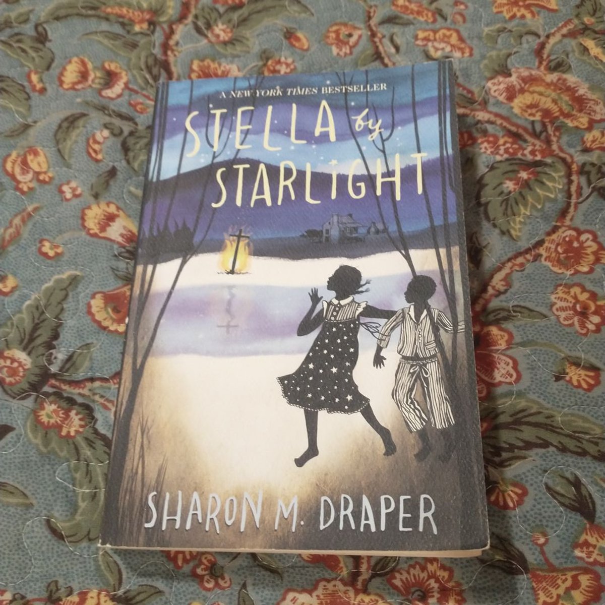 Stella by Starlight by Sharon M. Draper
