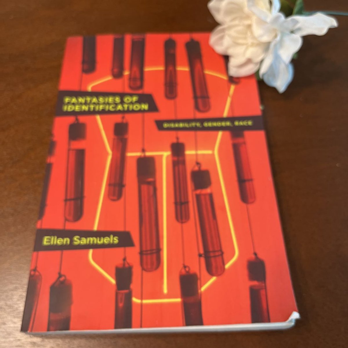 Fantasies of Identification by Ellen Samuels