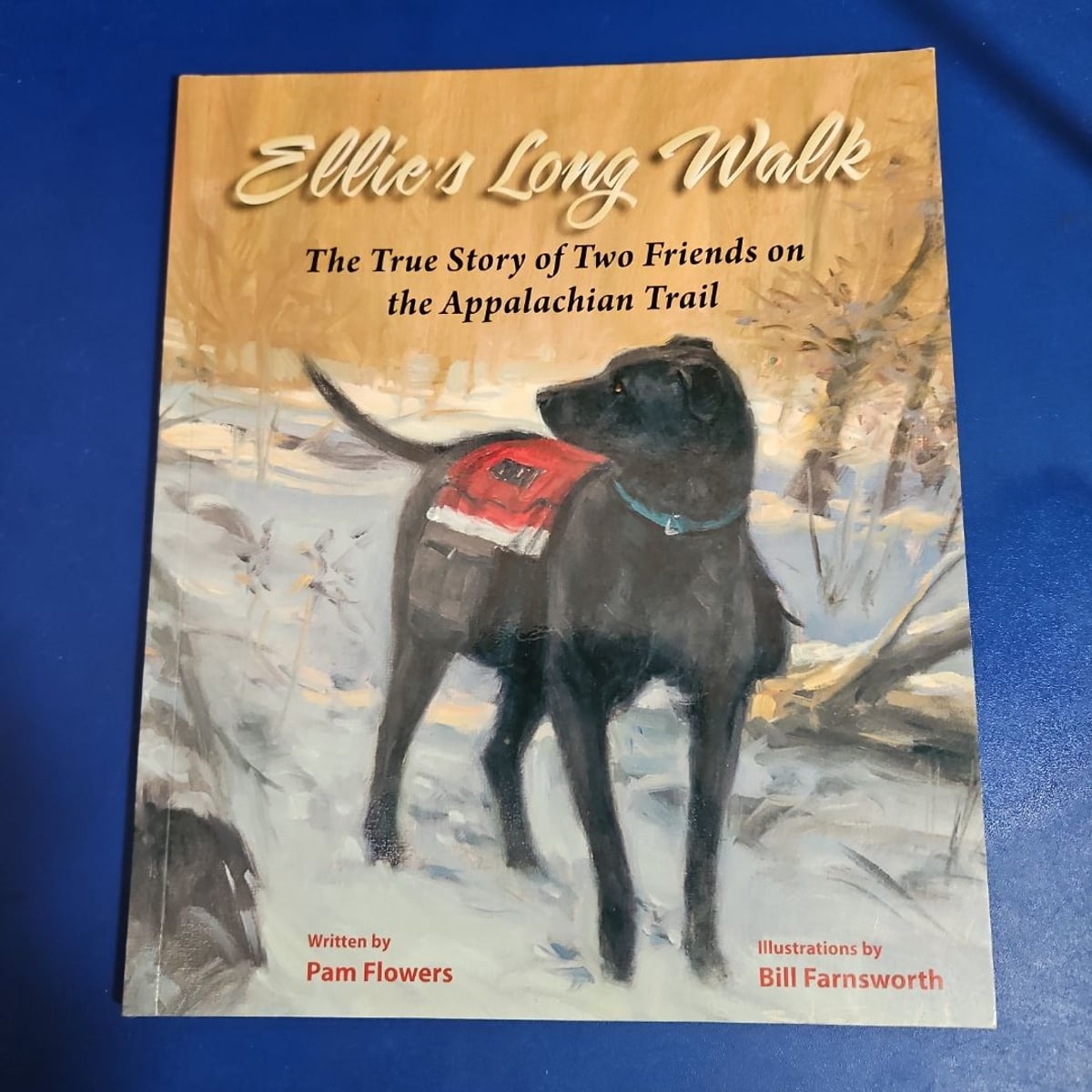 Ellie's Long Walk by Pam Flowers