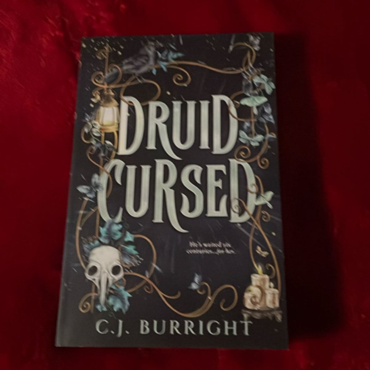 Druid Cursed by C. J. Burright