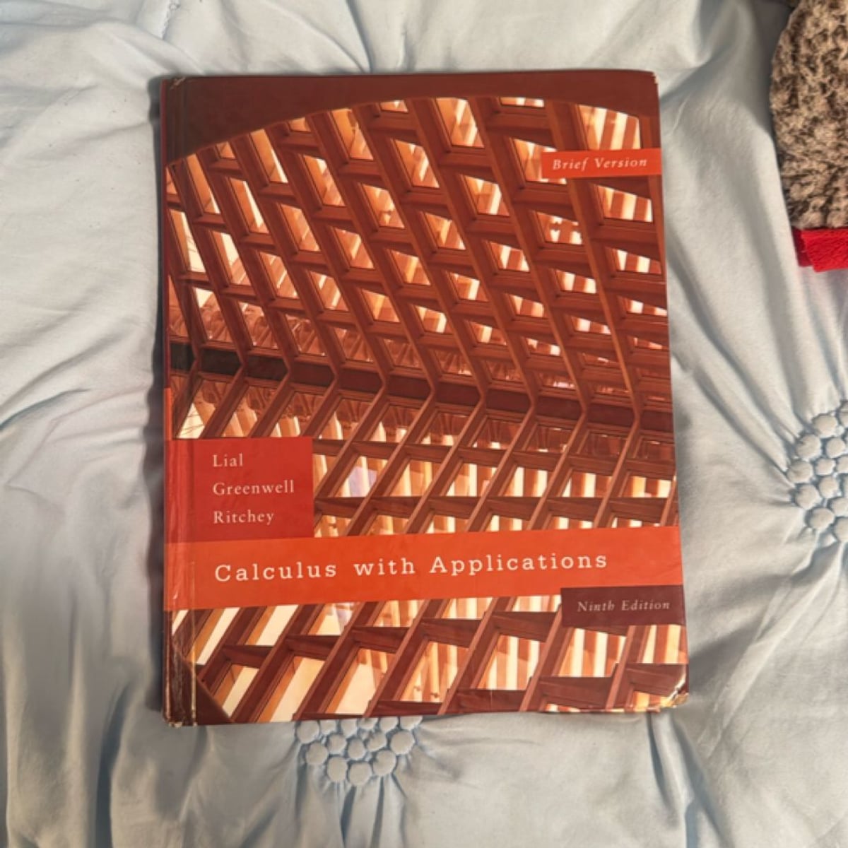 Calculus with Applications, Brief Version by Margaret Lial, Raymond ...