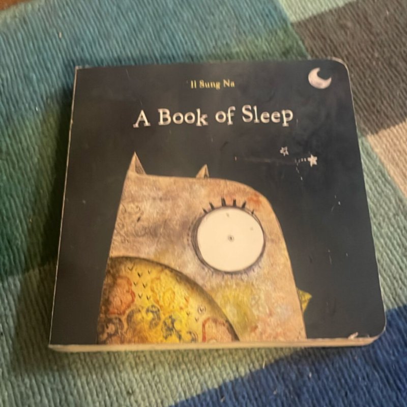A Book of Sleep by Il Sung Na