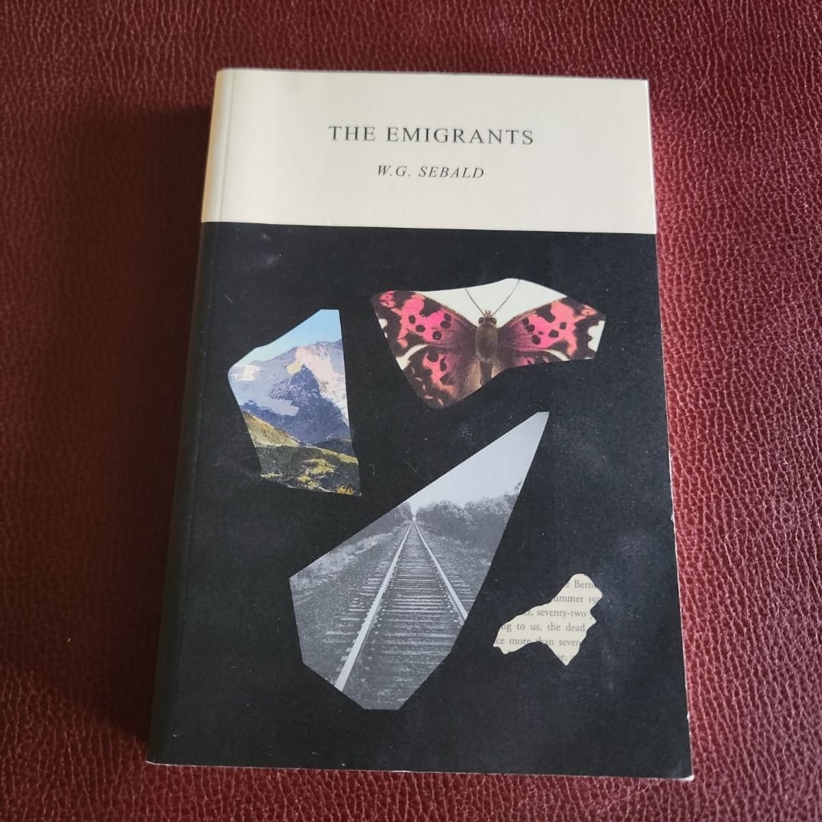 The Emigrants by W. G. Sebald; Michael Hulse (Translator)