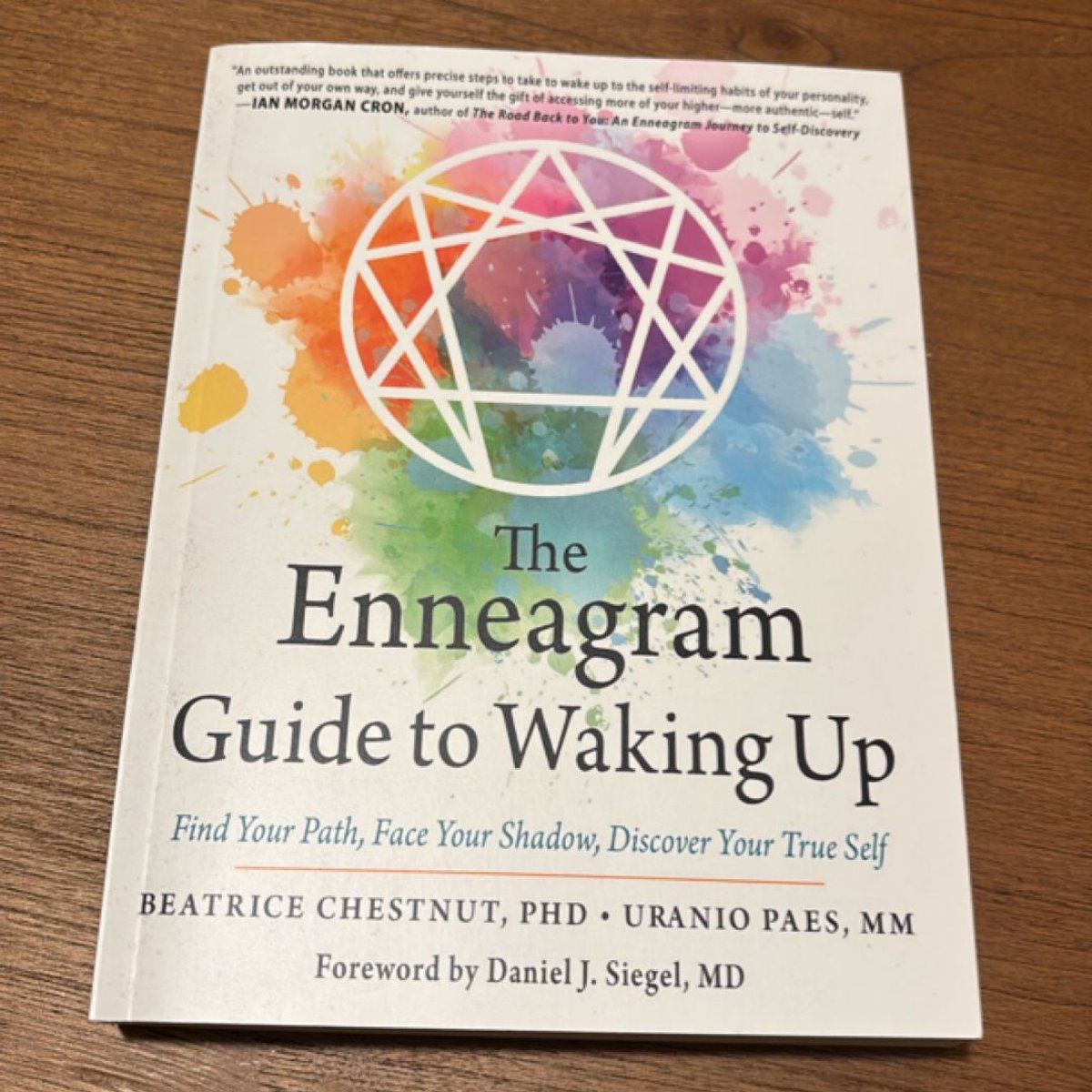 The Enneagram Guide to Waking Up by Beatrice Chestnut, Uranio Paes ...