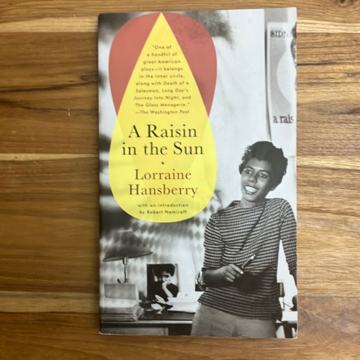 A Raisin in the Sun by Lorraine Hansberry