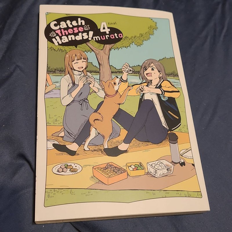 Catch These Hands!, Vol. 4 by murata, Amanda Haley, Bianca Pistillo