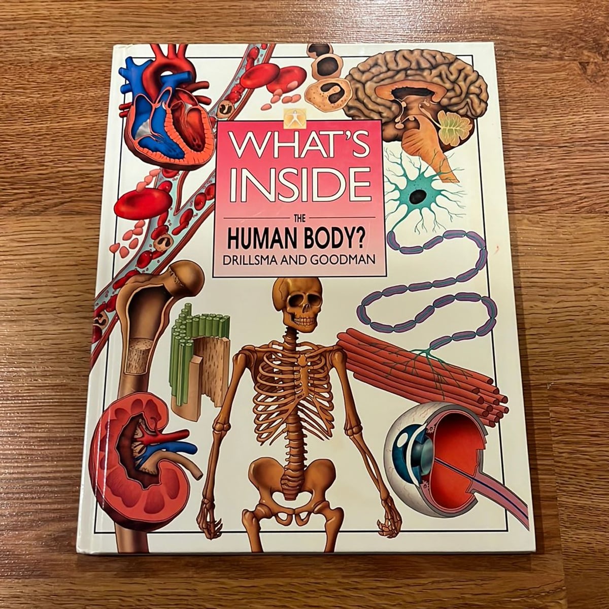 What's Inside the Human Body? by Barbara Drillsma