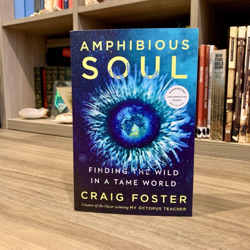 Amphibious Soul by Craig Foster