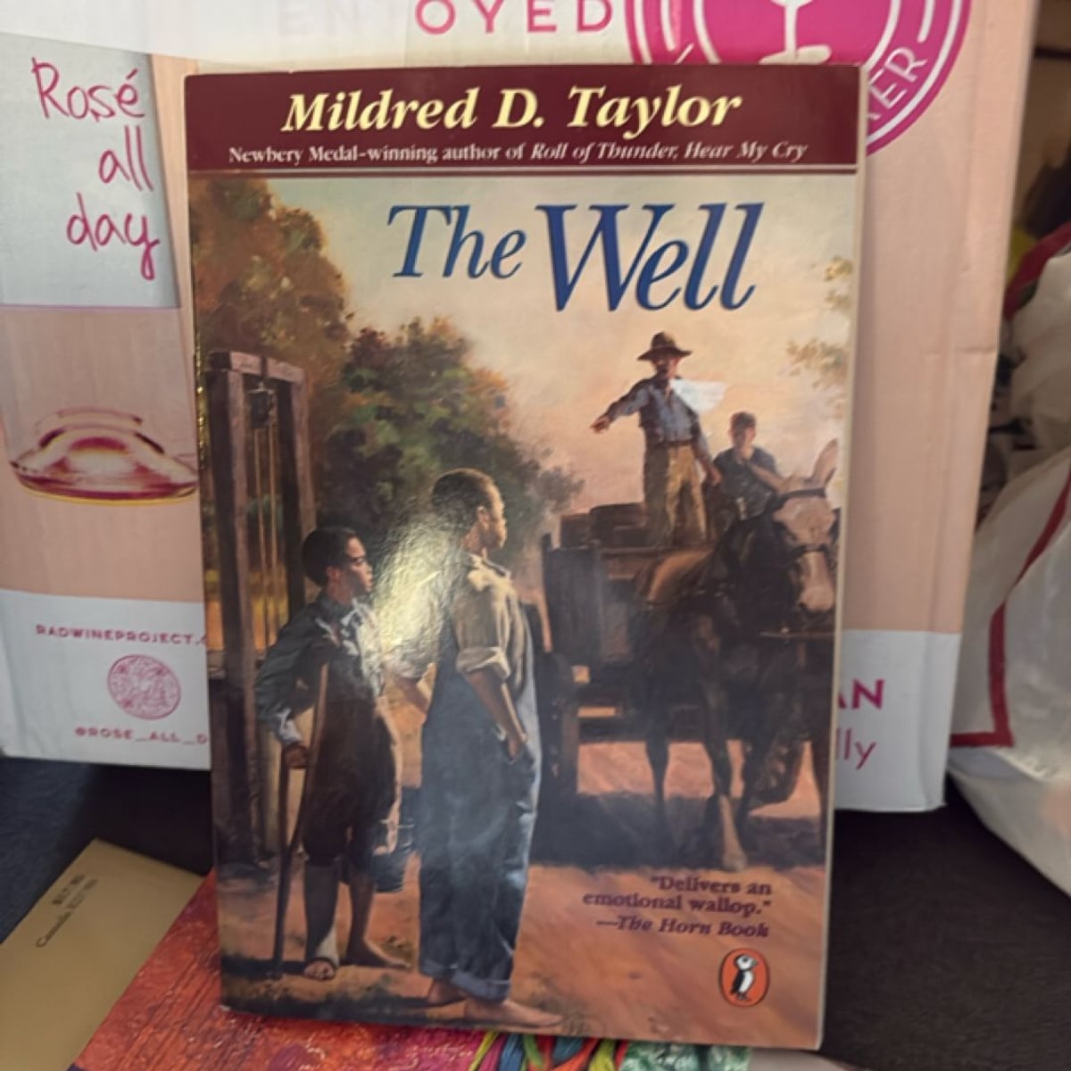 The Well by Mildred D. Taylor