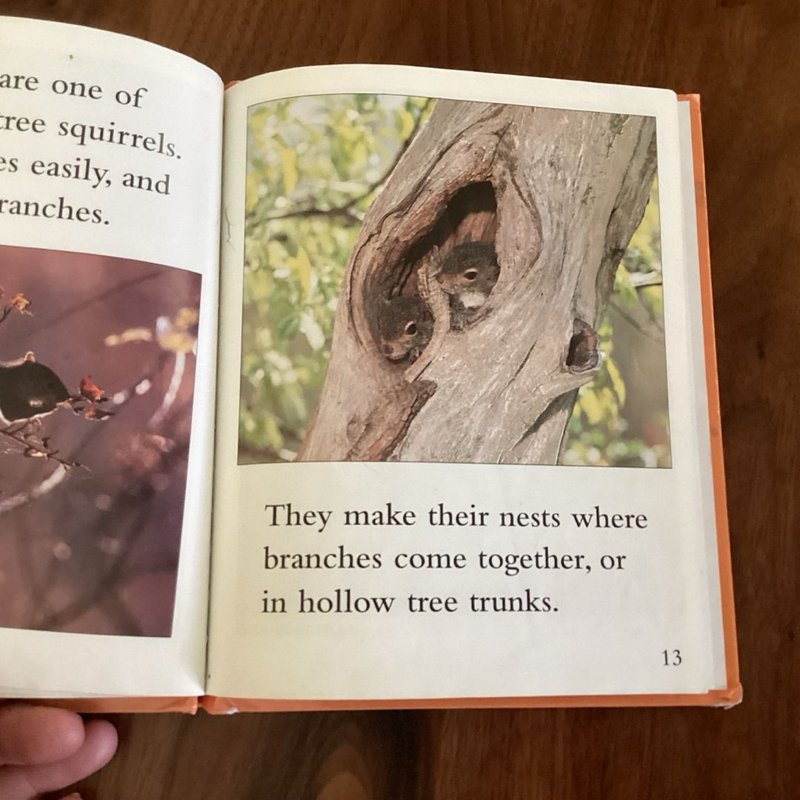 Squirrels and Chipmunks by Allan Fowler, Hardcover | Pangobooks