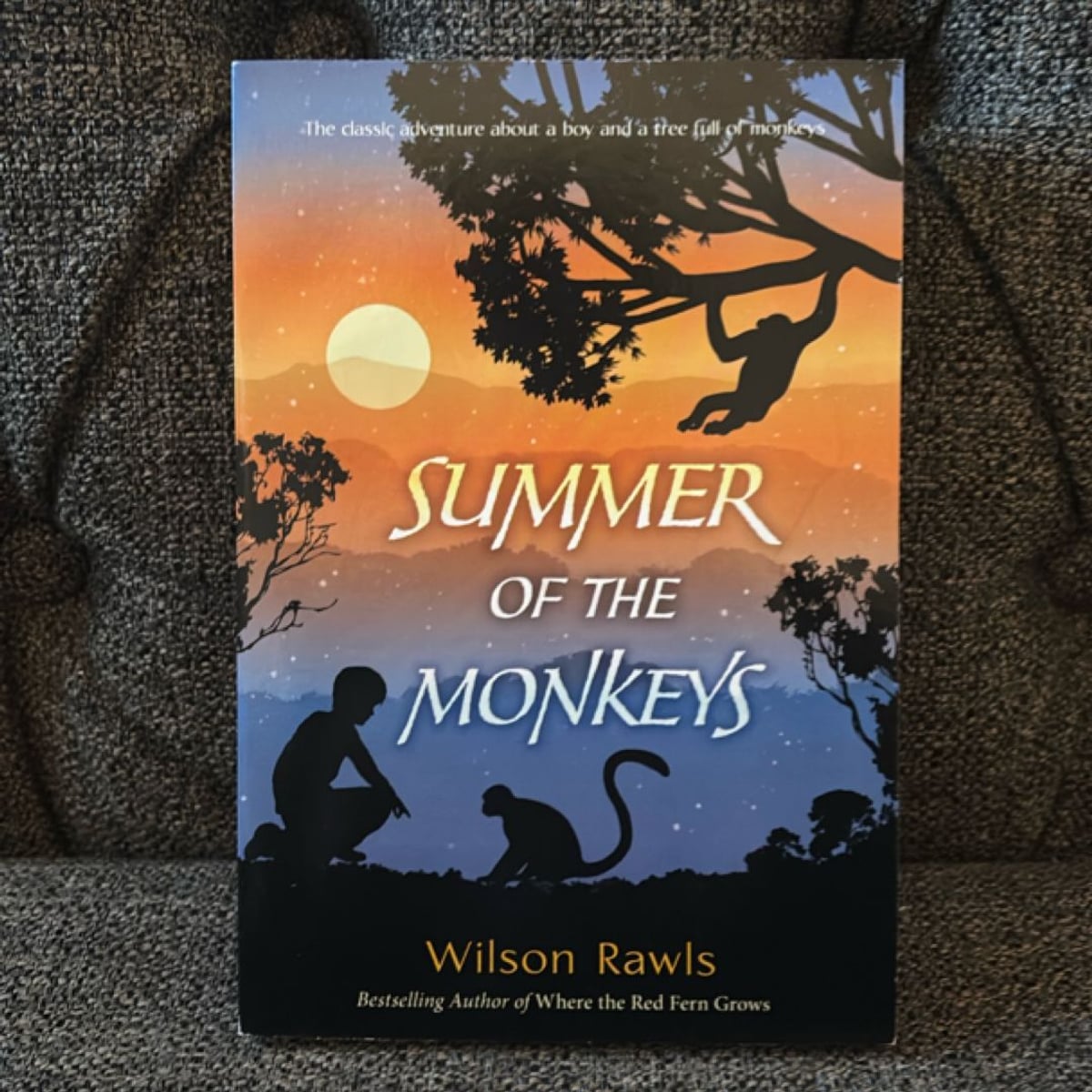 Summer of the Monkeys by Wilson Rawls