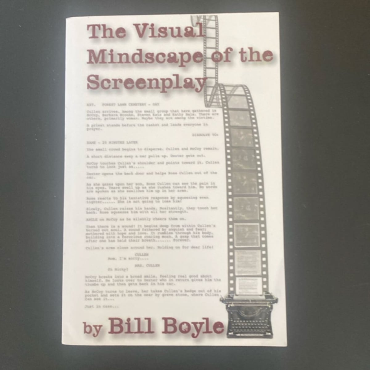 The Visual Mindscape of the Screenplay by Bill | PangoBooks