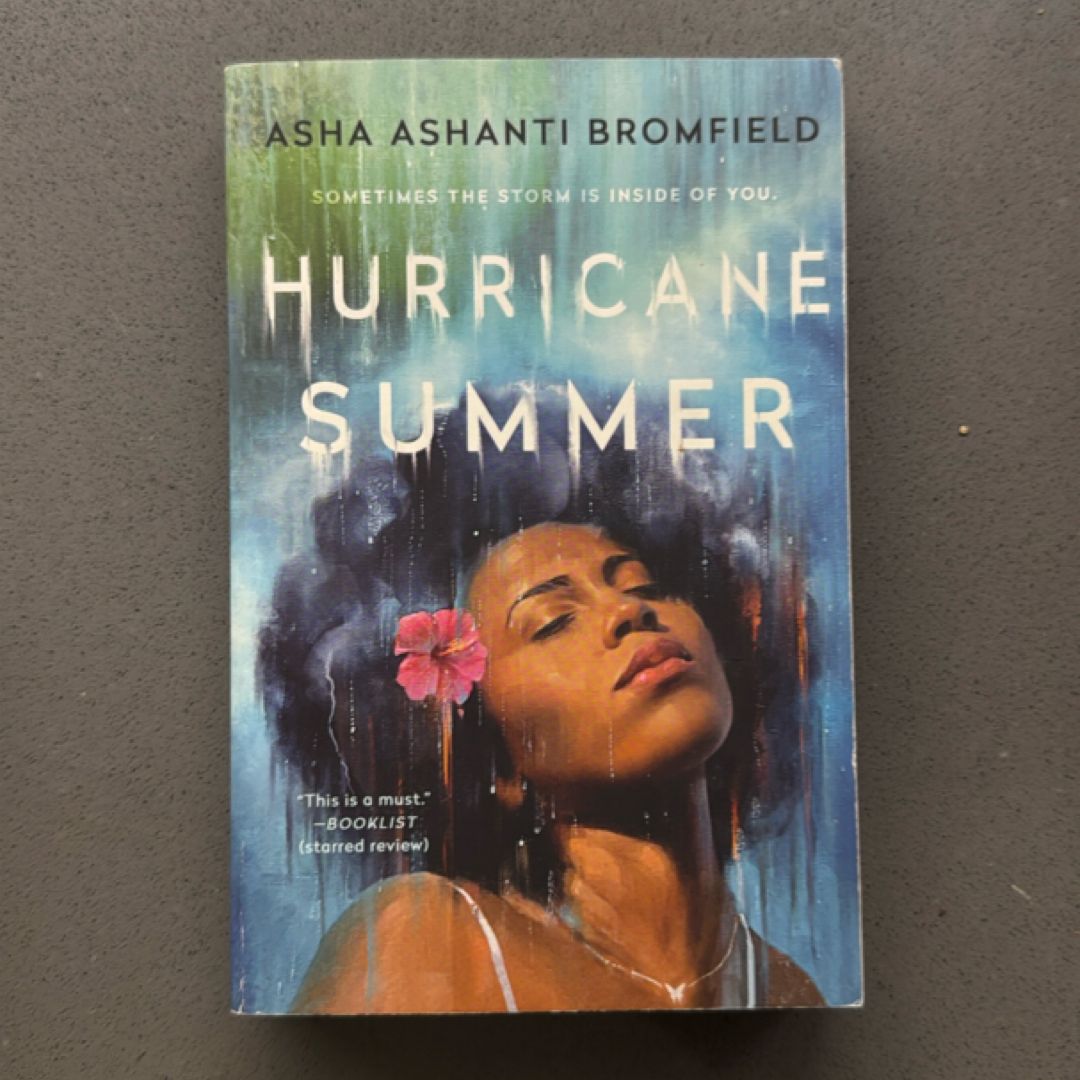 Hurricane Summer by Asha Ashanti Bromfield