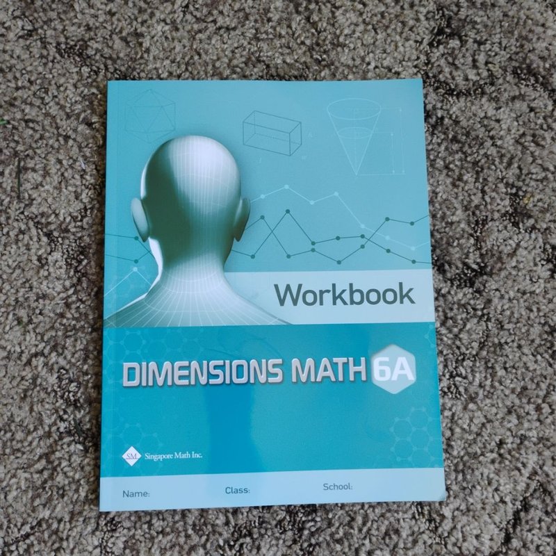 Dimensions Math Workbook 6A by