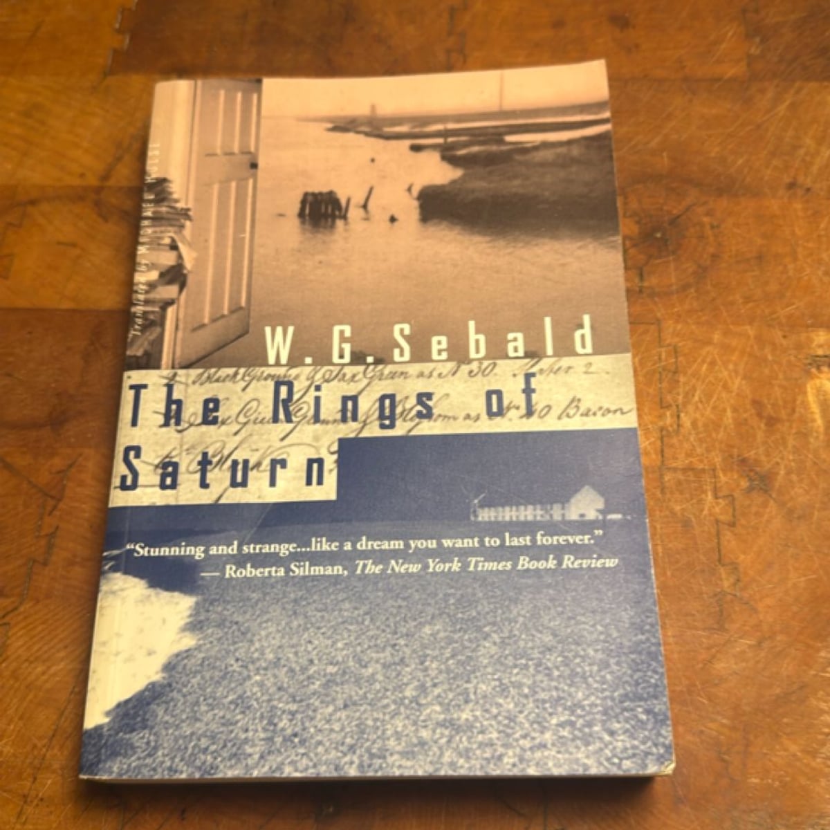 The Rings of Saturn by W. G. Sebald; Michael Hulse (Translator)