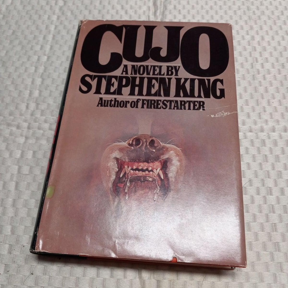 Cujo by Stephen King, Hardcover | Pangobooks