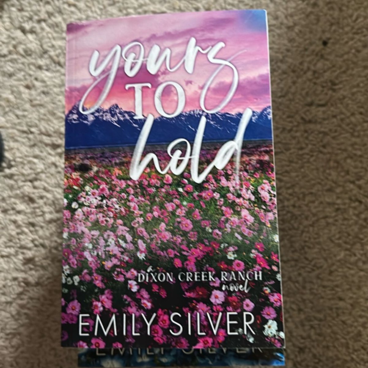 Yours to Hold Special Edition Paperback by Emily Silver