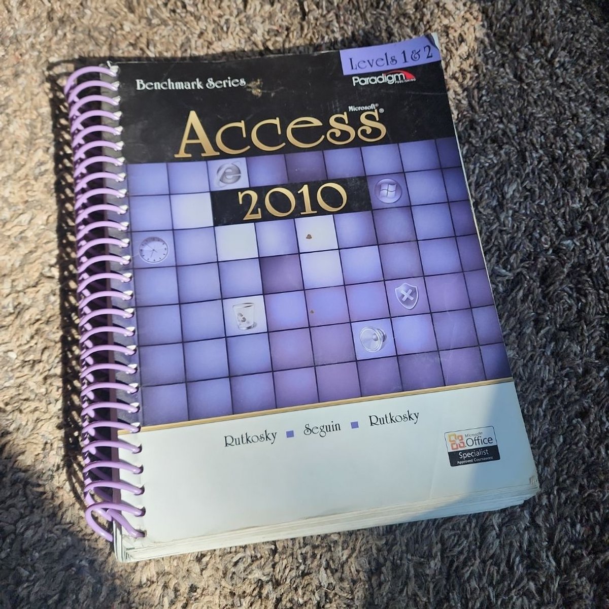 Benchmark Series: Microsoft®Access Levels 1 And 2 by Nita Rutkosky ...