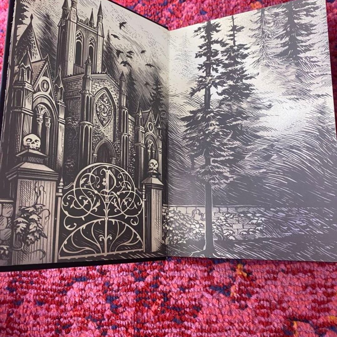Nocticadia Lit Haven Signed Special Edition by Keri Lake, Hardcover ...
