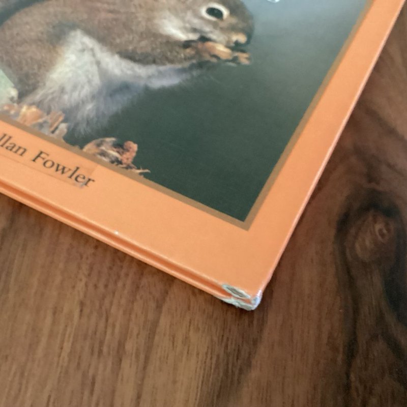 Squirrels and Chipmunks by Allan Fowler, Hardcover | Pangobooks