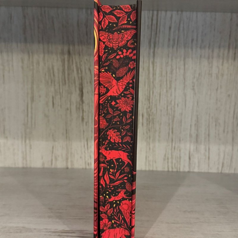 Faebound by Saara El-Sarifi, Hardcover | Pangobooks