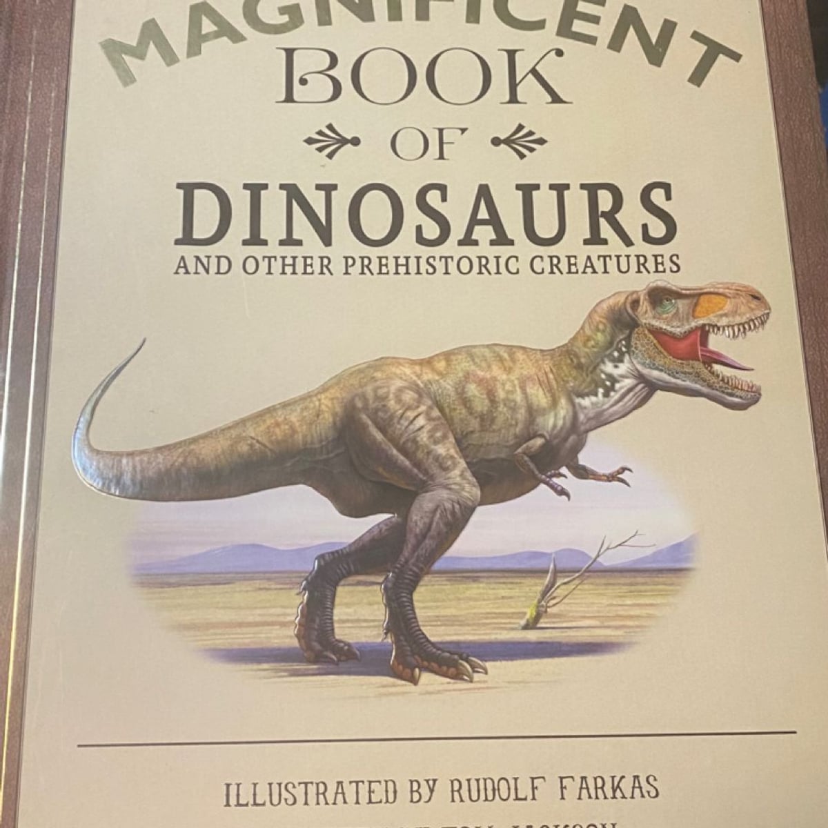 The Magnificent Book of Dinosaurs and Other Prehsitoric Creatures by ...