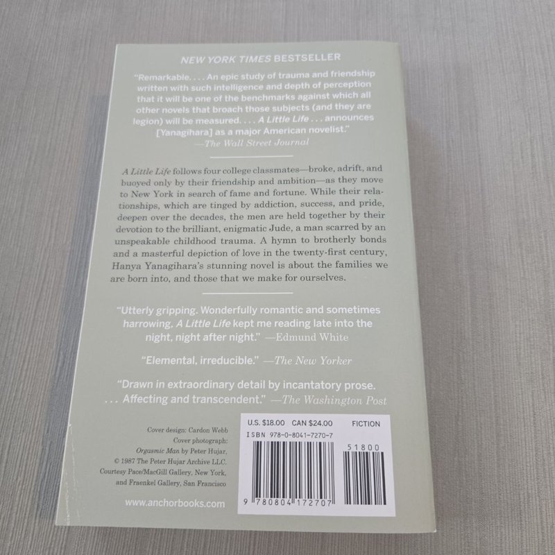 A Little Life by Hanya Yanagihara, Paperback | Pangobooks