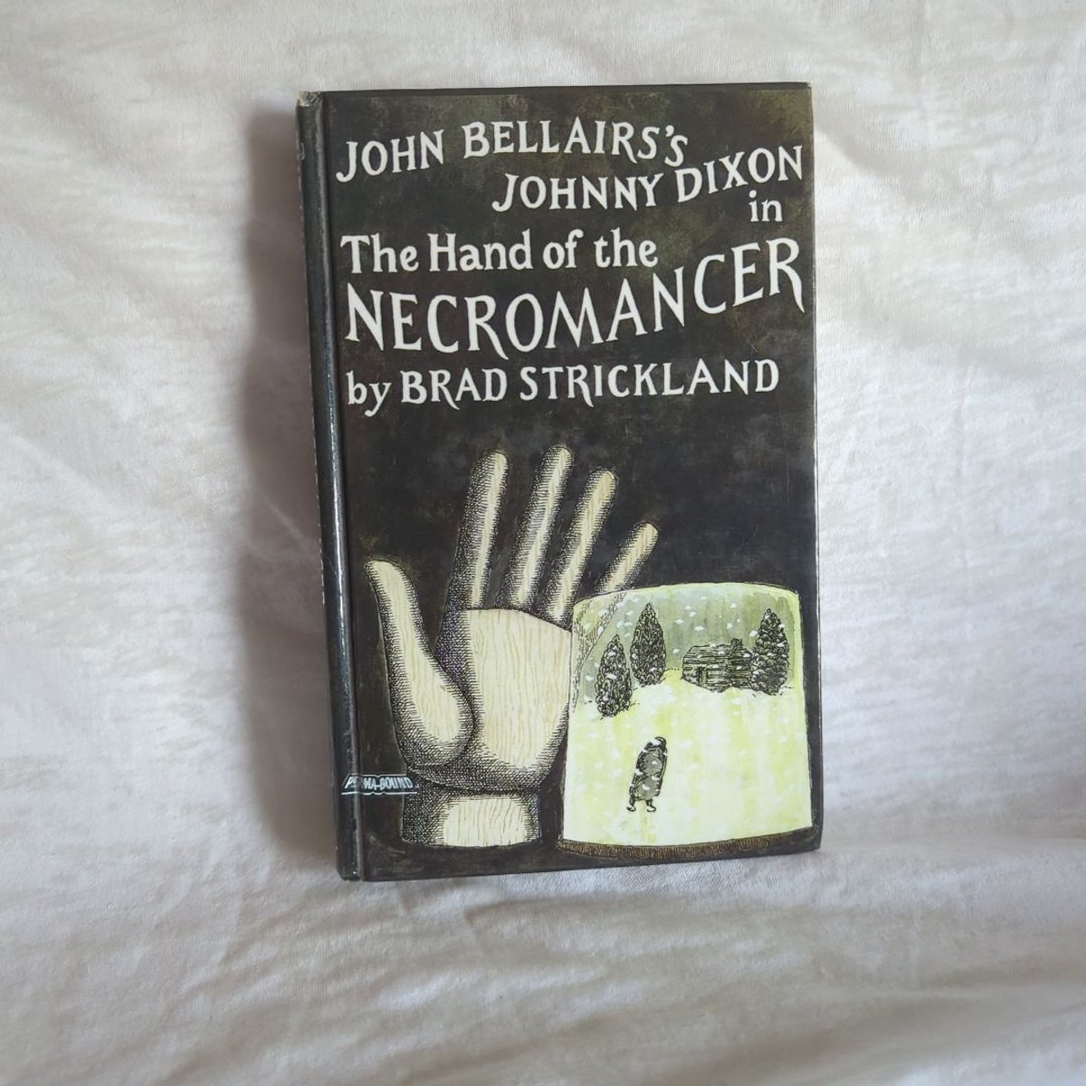 The Hand of the Necromancer by Brad Strickland