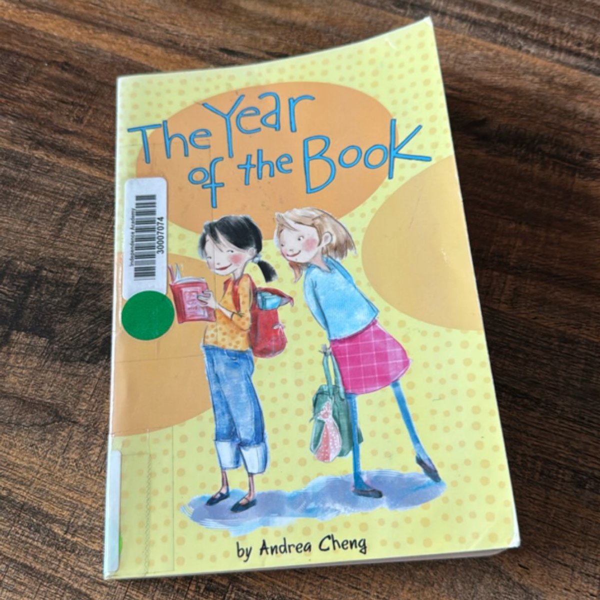 The Year of the Book by Andrea Cheng