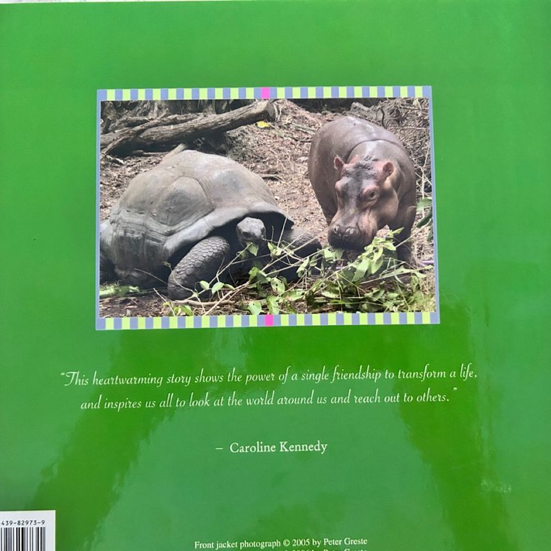 Owen and Mzee by Isabella Hatkoff, Craig Hatkoff, Peter Greste